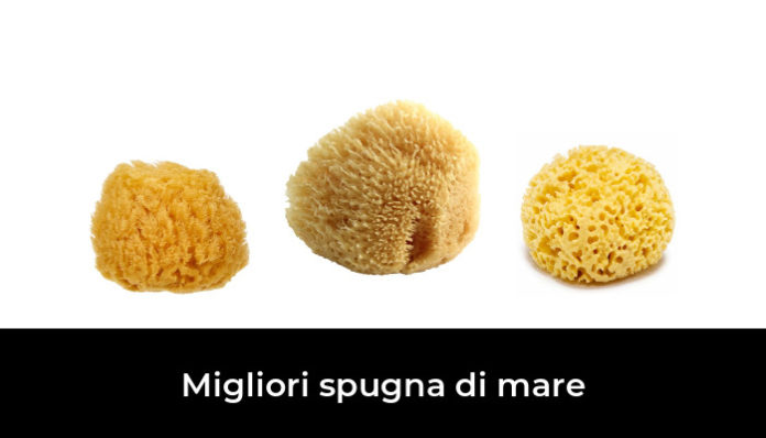 47 Migliori spugna di mare nel 2024 (recensioni, opinioni, prezzi)