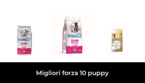 38 Migliori forza 10 puppy nel 2024 (recensioni, opinioni, prezzi)
