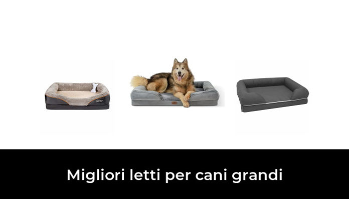 47 Migliori letti per cani grandi nel 2024 (recensioni, opinioni, prezzi)