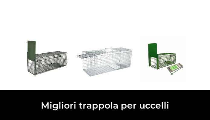 47 Migliori trappola per uccelli nel 2024 (recensioni, opinioni, prezzi)