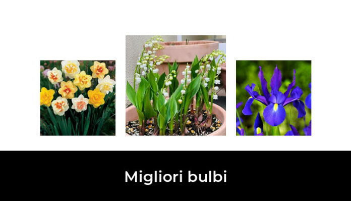 47 Migliori bulbi nel 2024 (recensioni, opinioni, prezzi)